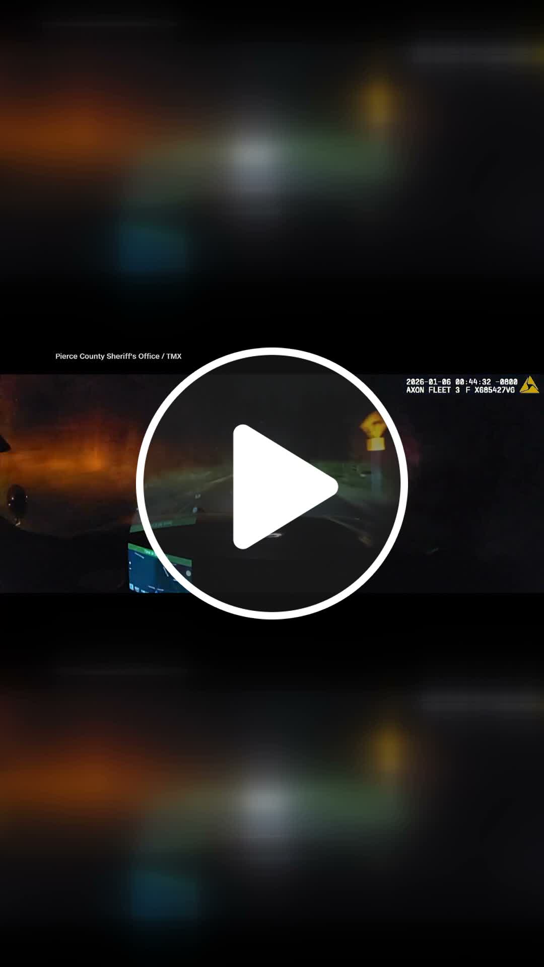 Dog launched from car during police chase - NewsBreak