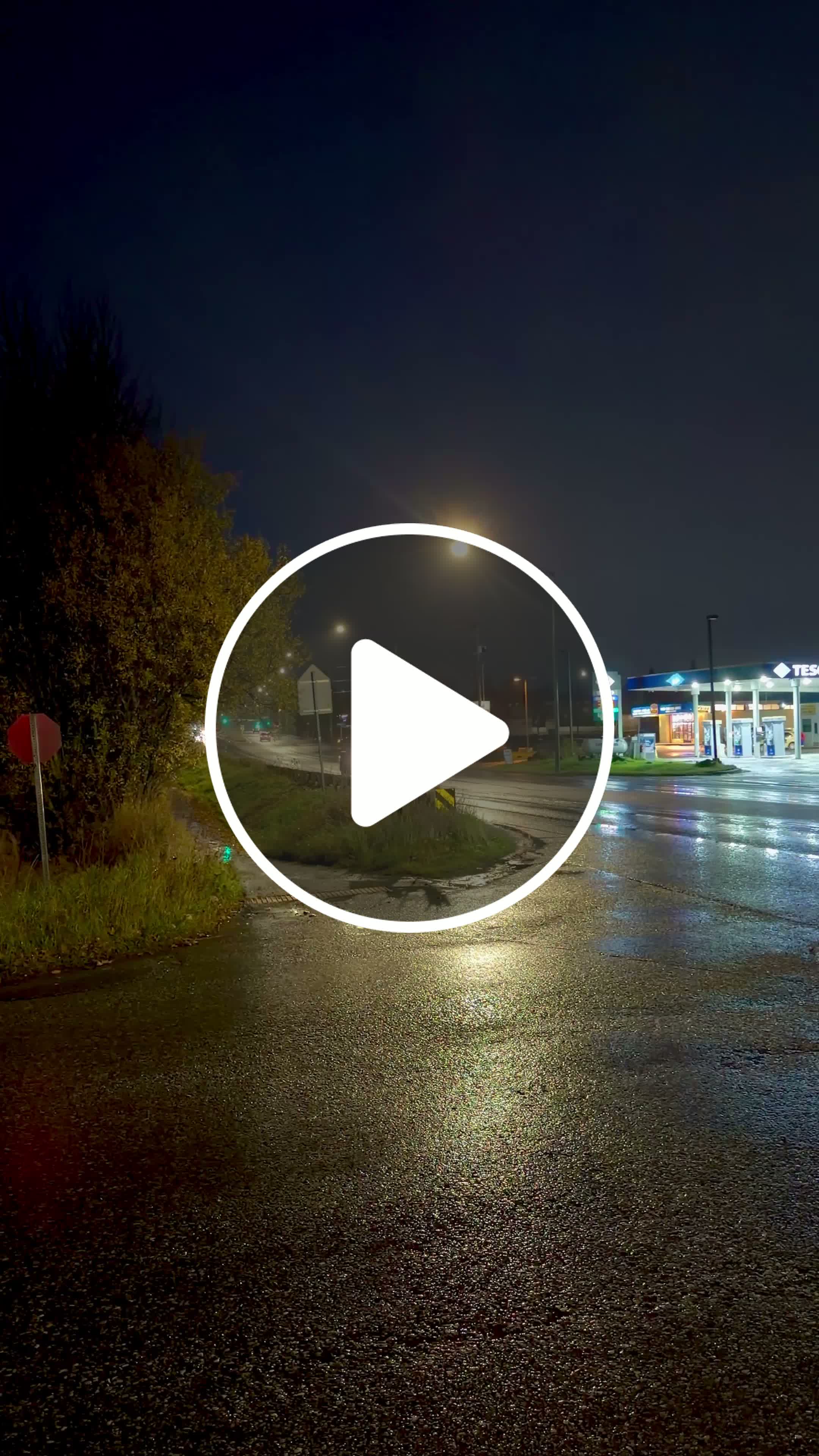 Alaskan Bull Moose Chilling on Jewel Lake - NewsBreak