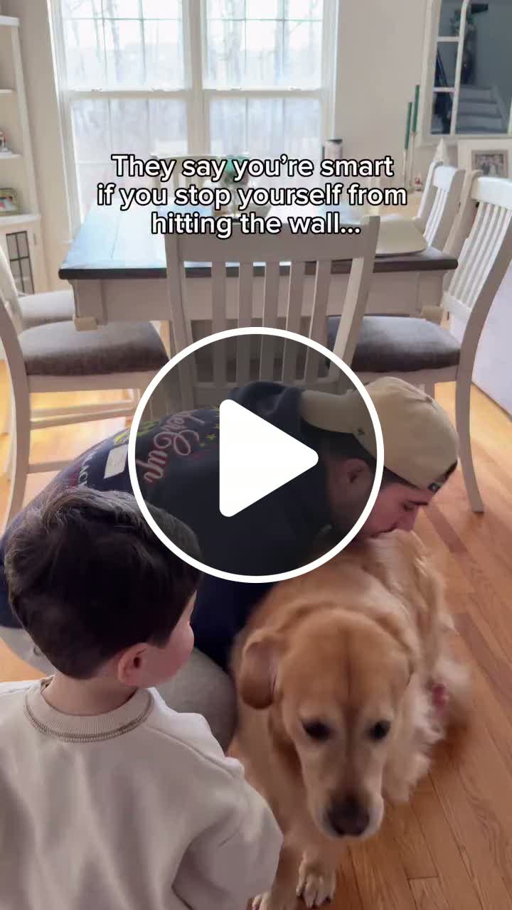 They say you're smart if you stop yourself from hitting the wallo.# ...