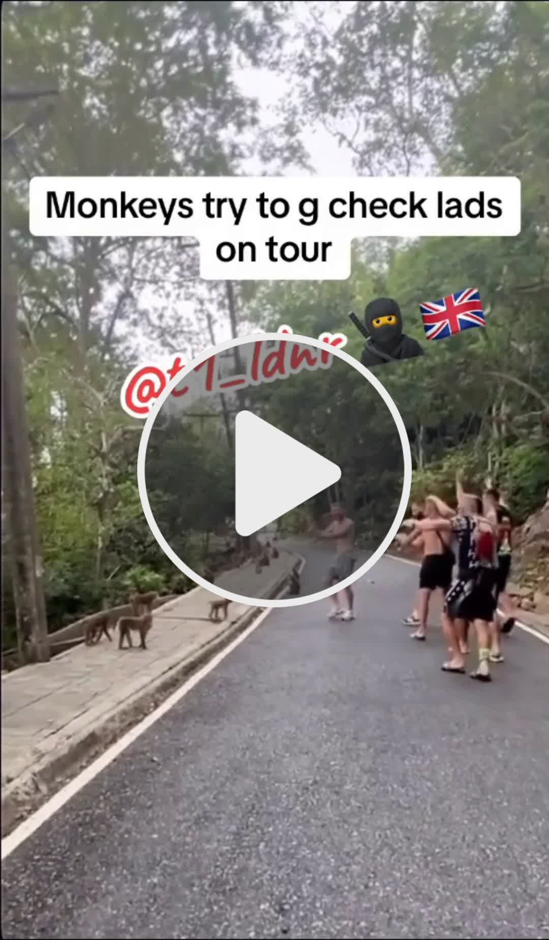 Lads on tour who specialise in shadow boxing almost get g checked by a troop of monkeys #boxing ...