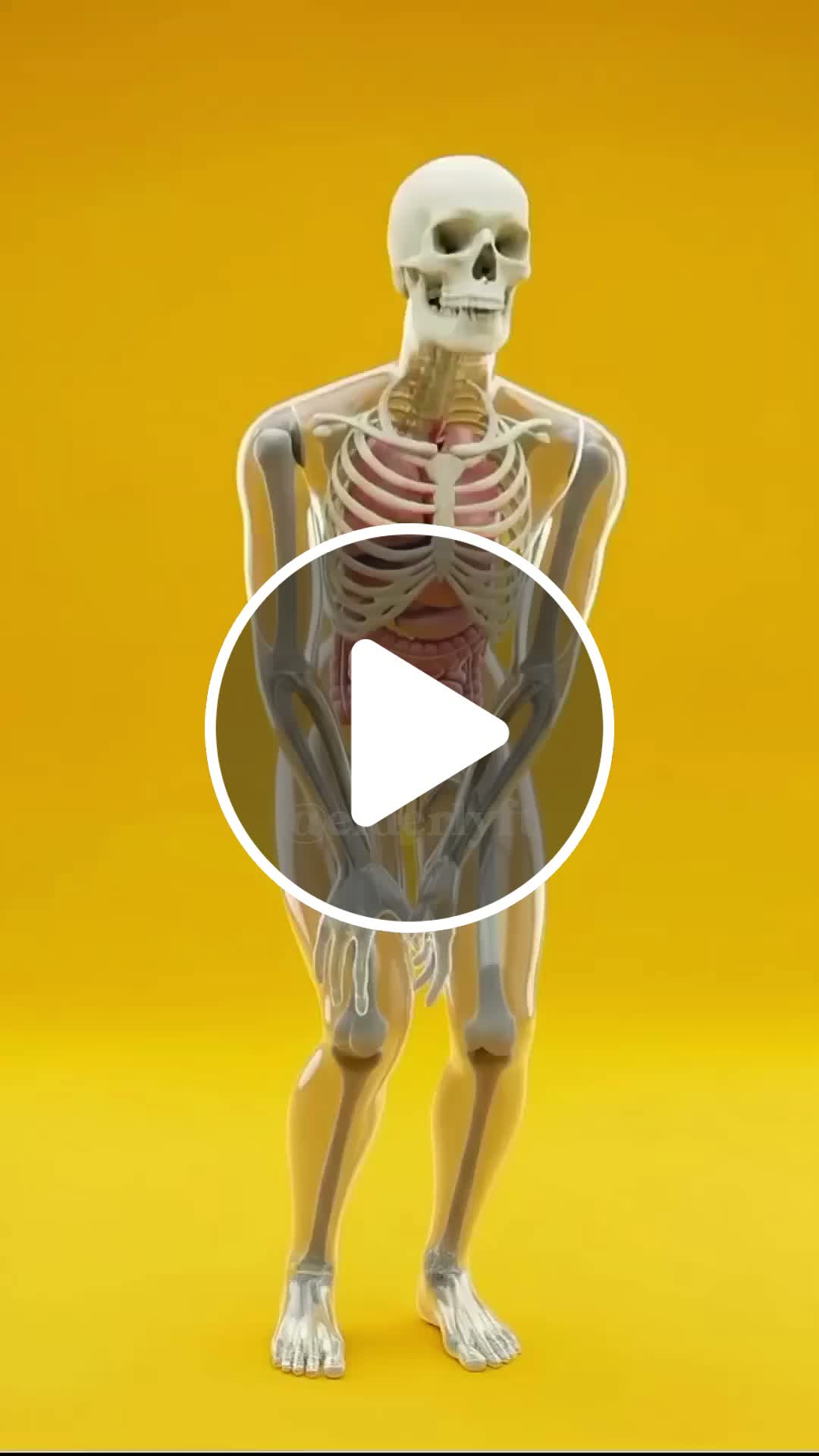 Holding a Fart Is Worse Than You Think ｜ What Happens Inside Your Body ...