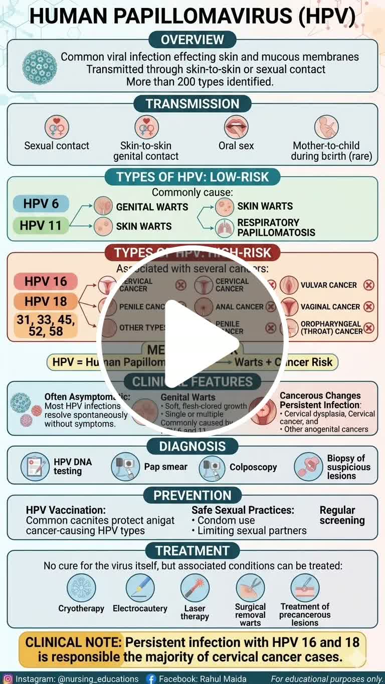 health corner hpv - NewsBreak