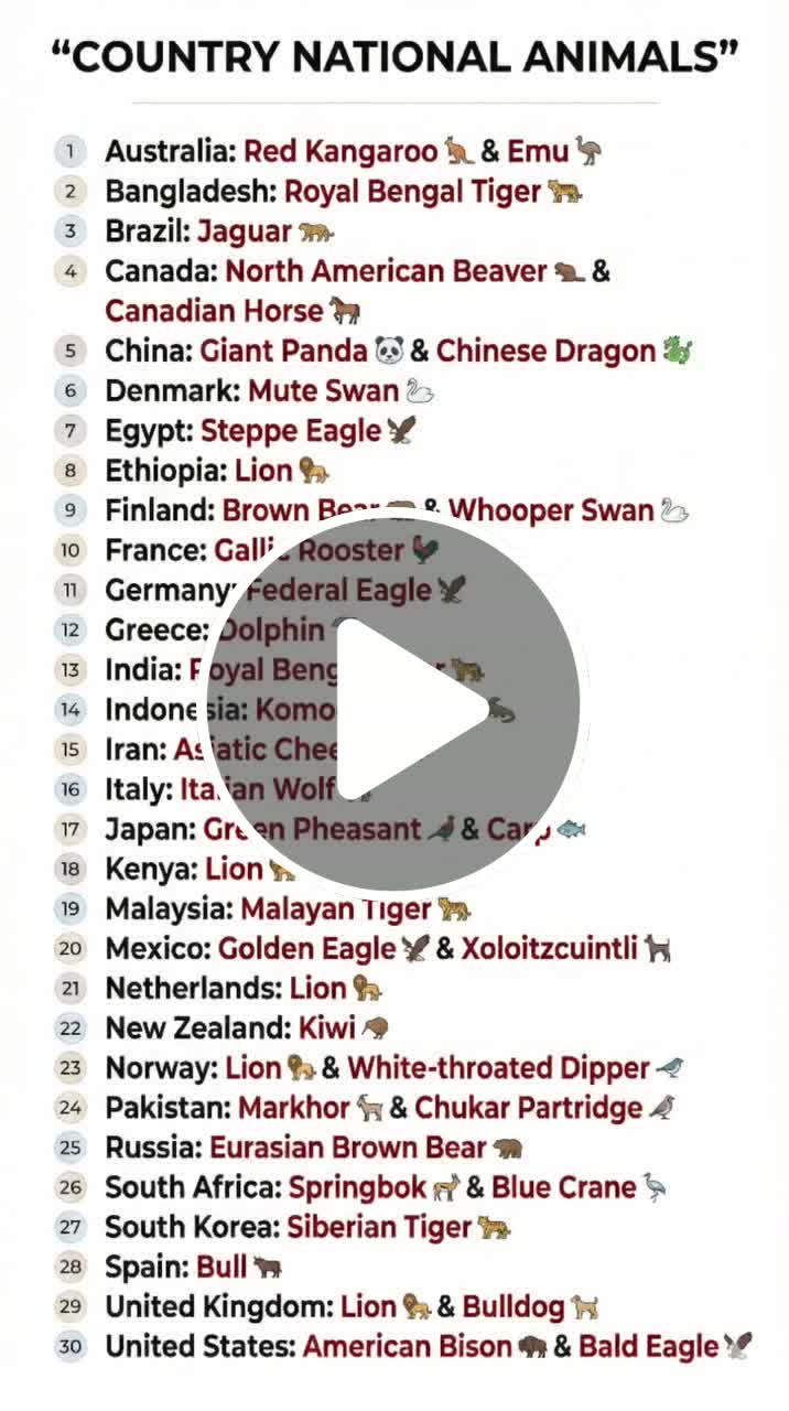 Country national animals - NewsBreak