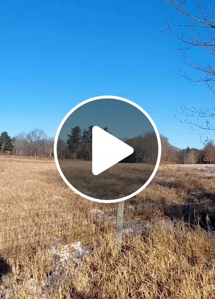 TV Sports Reporter and Her Husband Found - NewsBreak