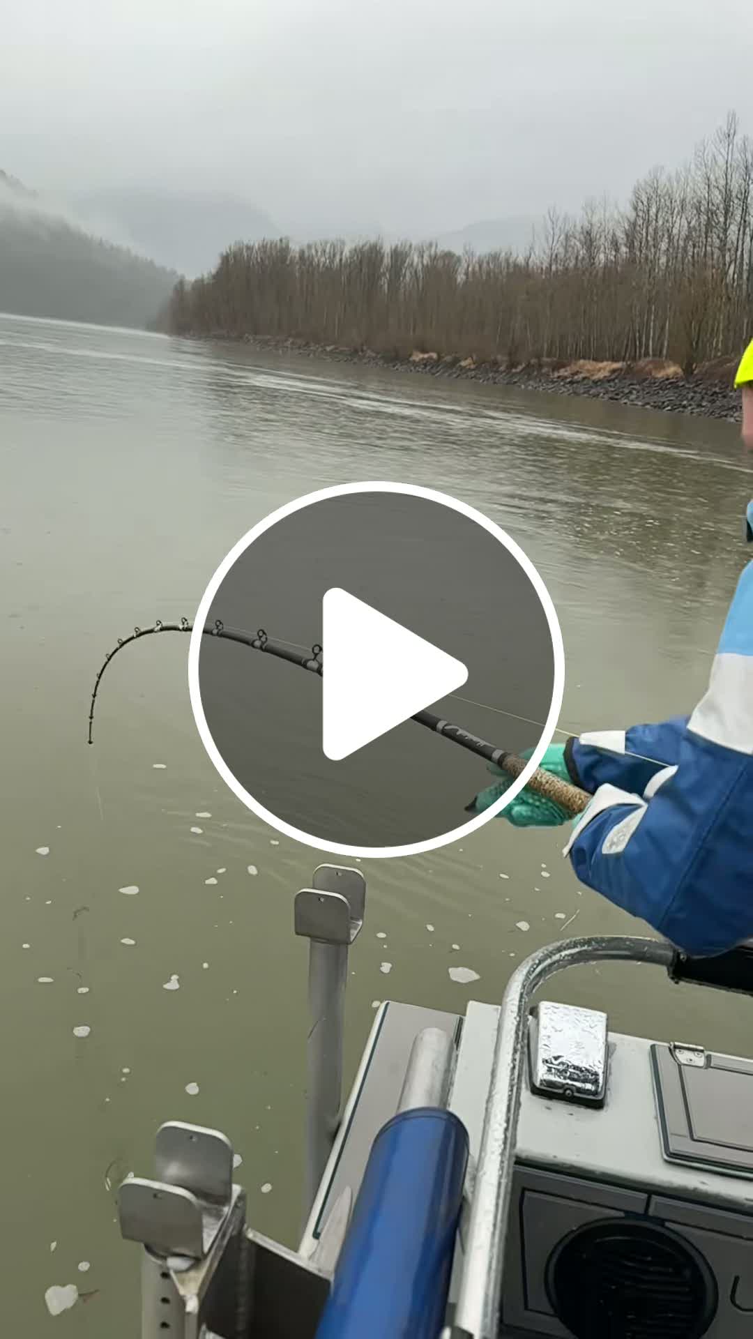 Always exciting fishing for the biggest freshwater fish in the world ...