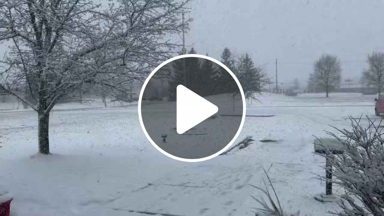 Snow Bears Down on Detroit Area - NewsBreak