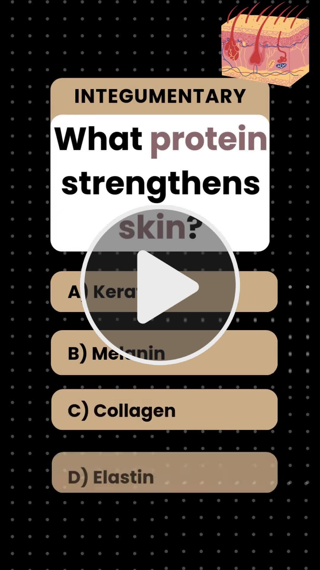 Anatomy and Physiology Trivia! Integumentary (Skin) System A&P Study ...