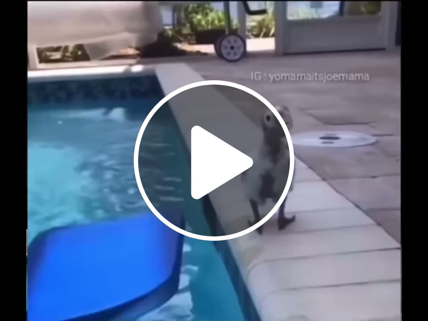 #TooFunnyToScroll 37 #viral #fyp #flotation #everydaymemes #tik_tok # ...