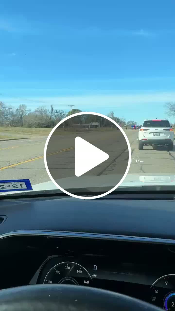 Cow escapes, sprints down Lindale highway with dog, police escort ...