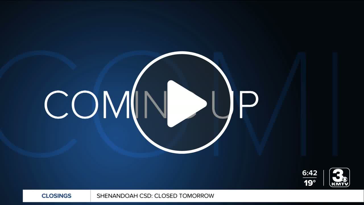 Exploding trees: click bait or actually possible? - NewsBreak