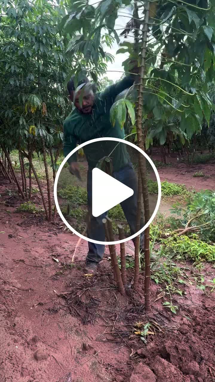 A Pacific seafood company is offering Floridians seasonal work in ...