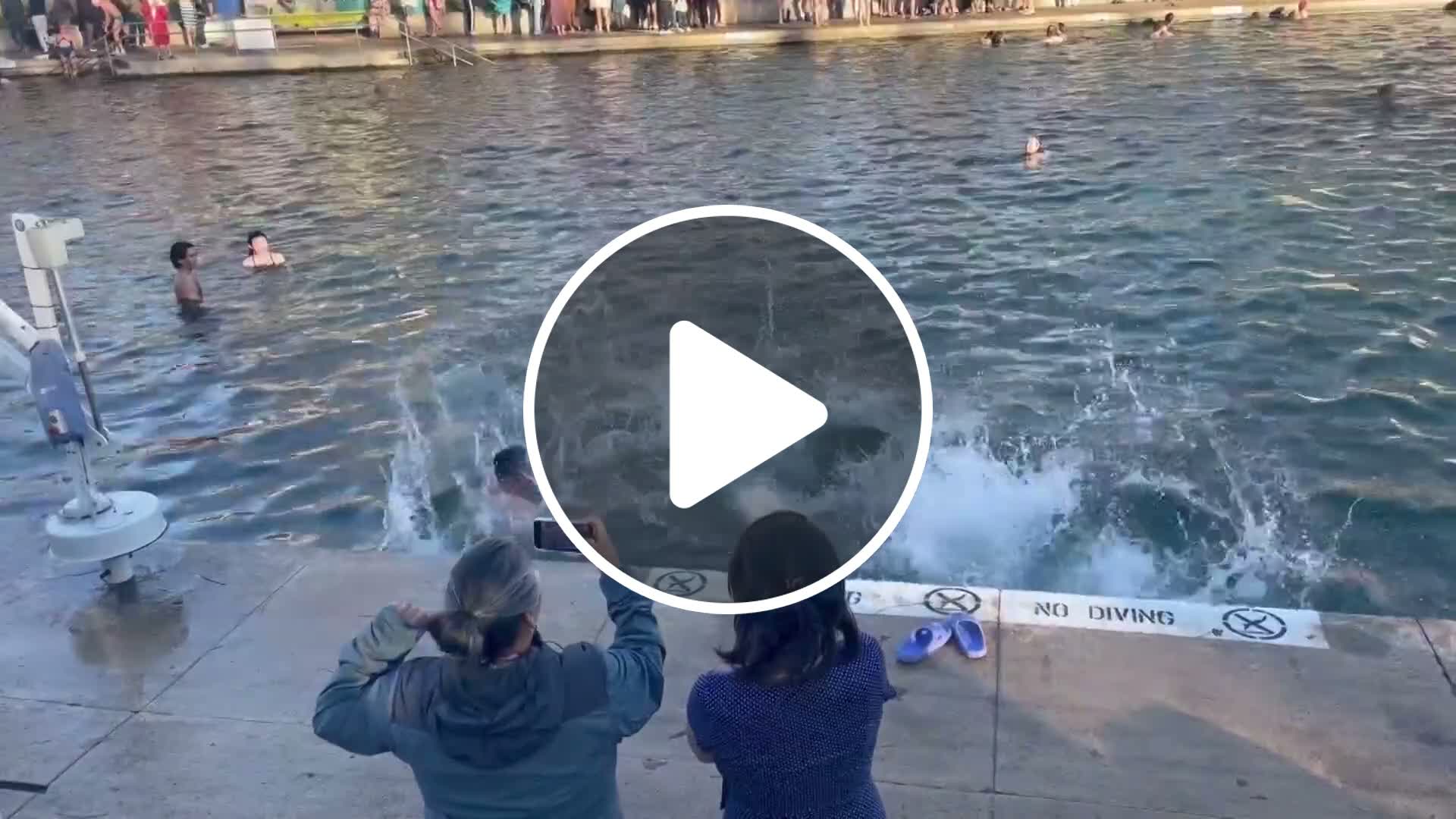 Austin-area weather: December 23rd late-evening forecast with Chief ...