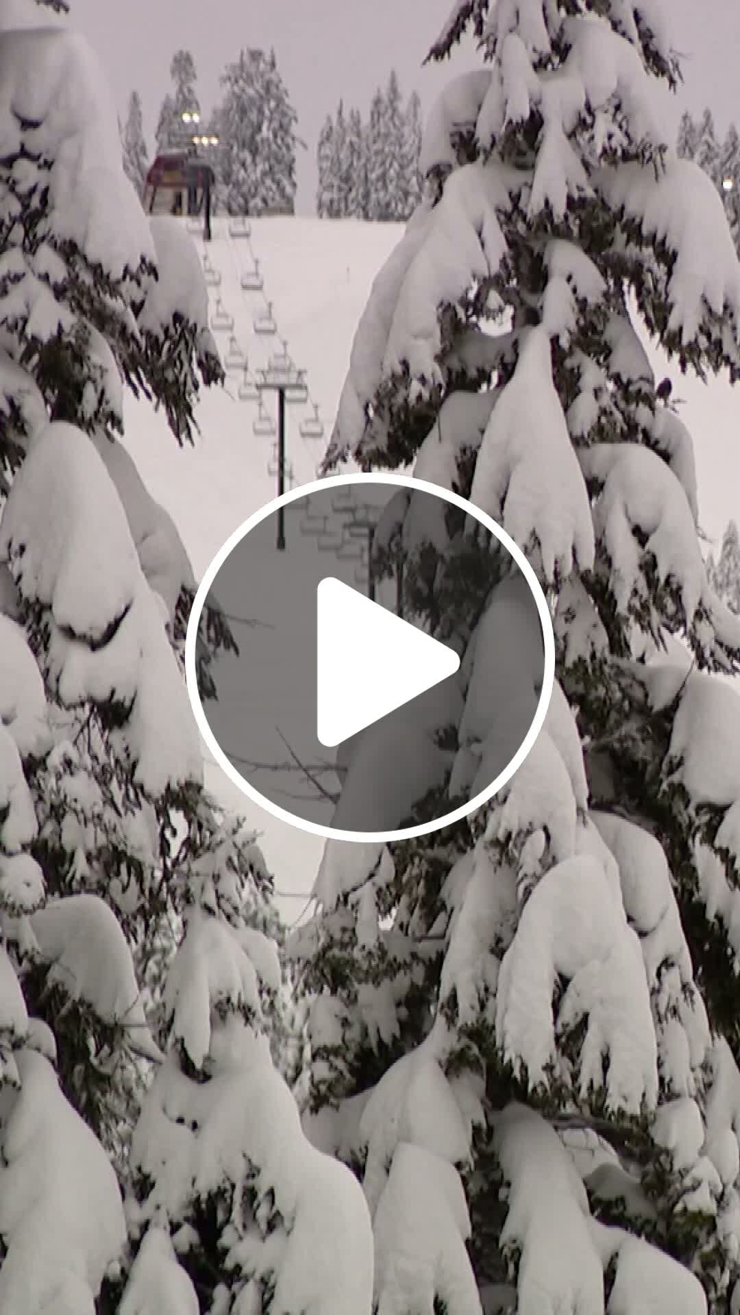 Stevens Pass Snowboarder Death - NewsBreak