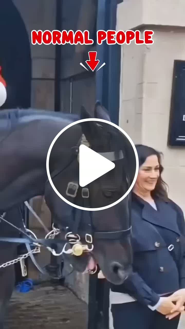 Royal Horse BITES Everyone Who Gets Close — Except ONE Woman…. - NewsBreak