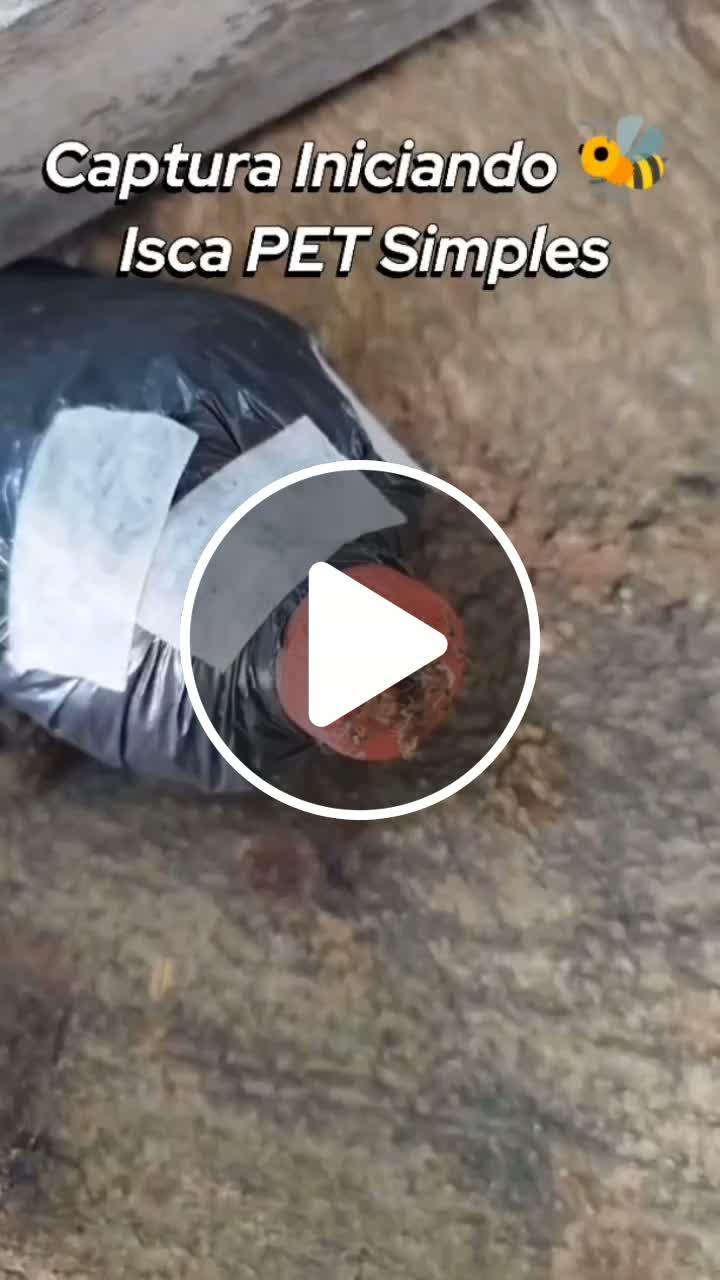 Bill Clinton Sends New Message to Donald Trump Over Epstein Files ...