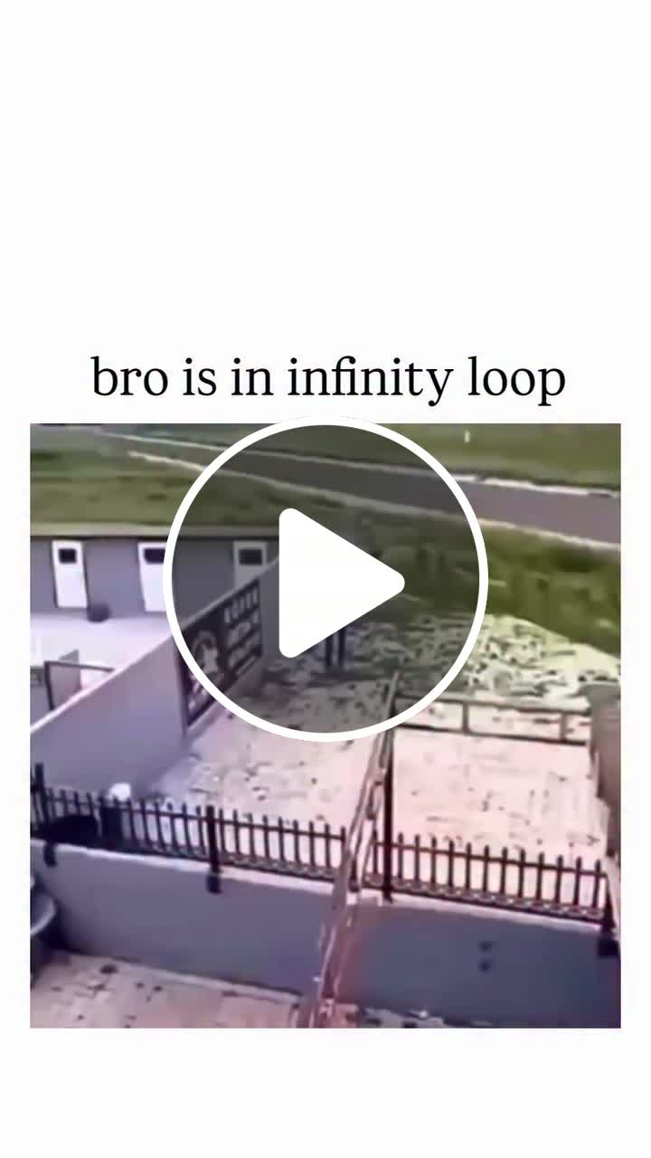 He is in an infinity loop🤣🤣🤣🤣🤣🤣🥰 - NewsBreak