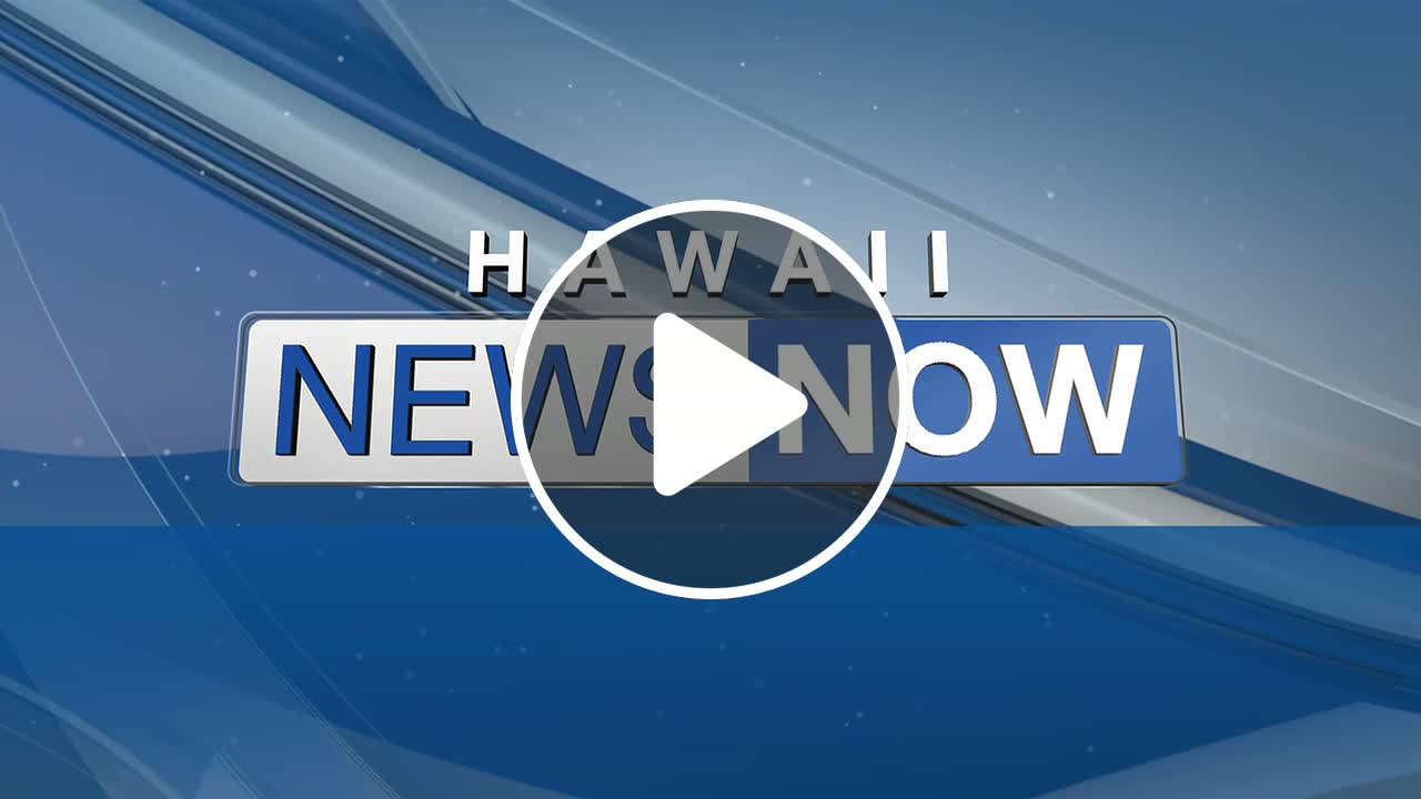 Box jellyfish advisory issued, first responders treat multiple ...