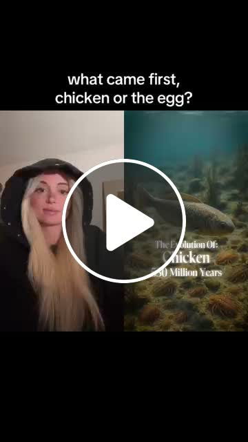 The evolution of a chicken #foryou #fyp #ai #viral #xyzbca #trending ...