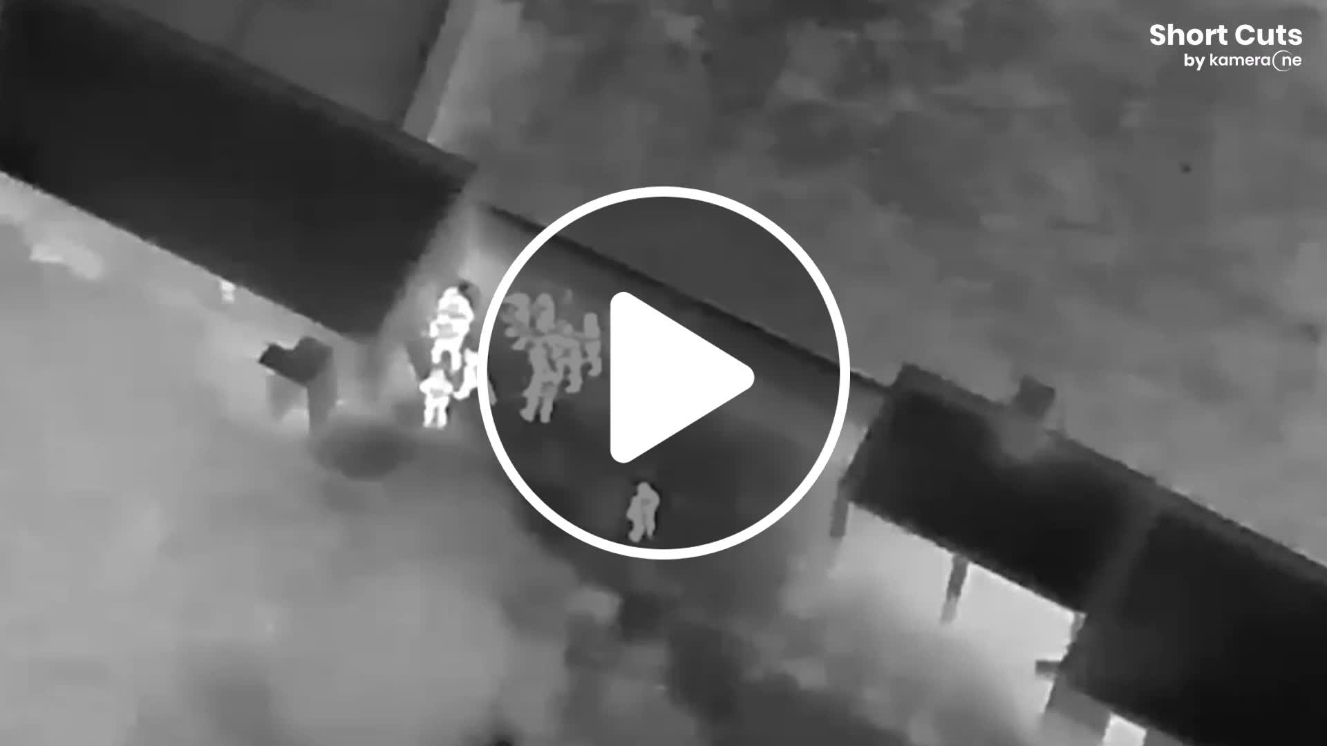 Police in Spain discover over 1,500 marijuana plants inside building in ...