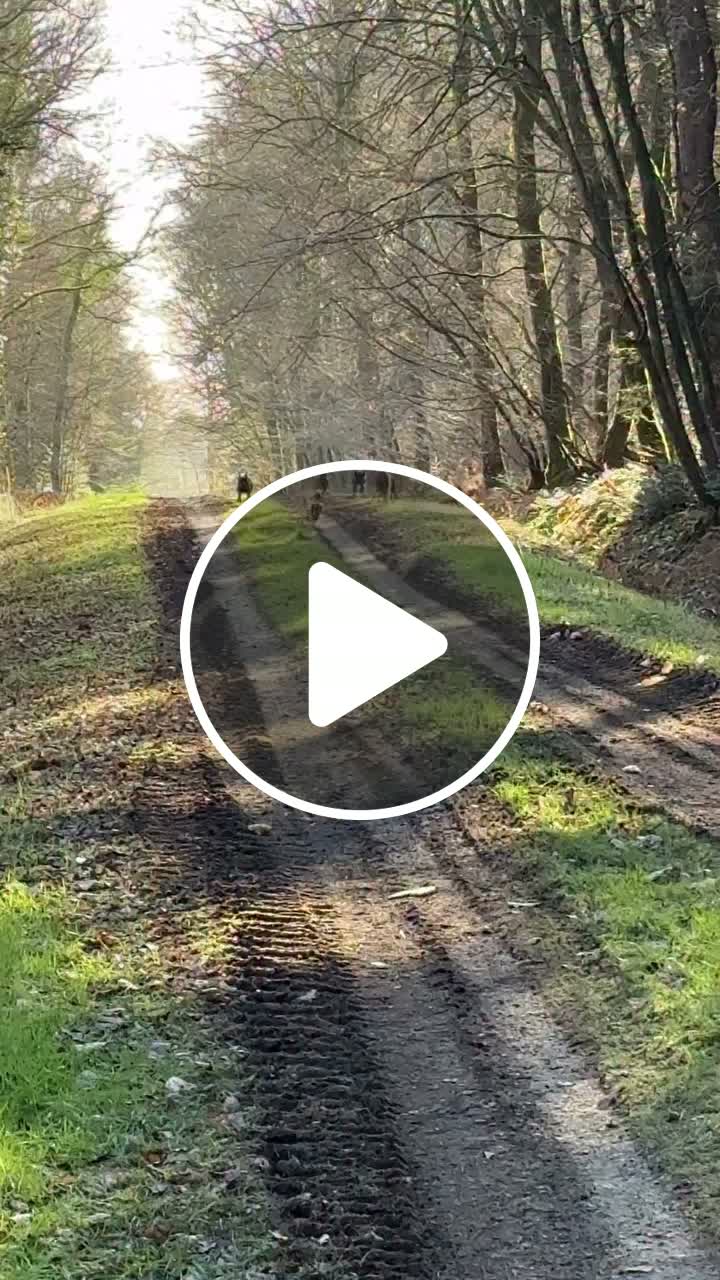 awsome workout...am just concerned on when they catch it🙆🏽😄 - NewsBreak