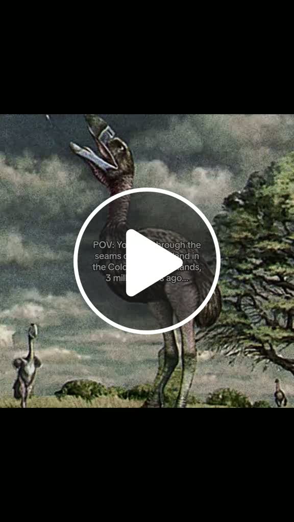 The terror bird was a terrifying, flightless predator that roamed South ...