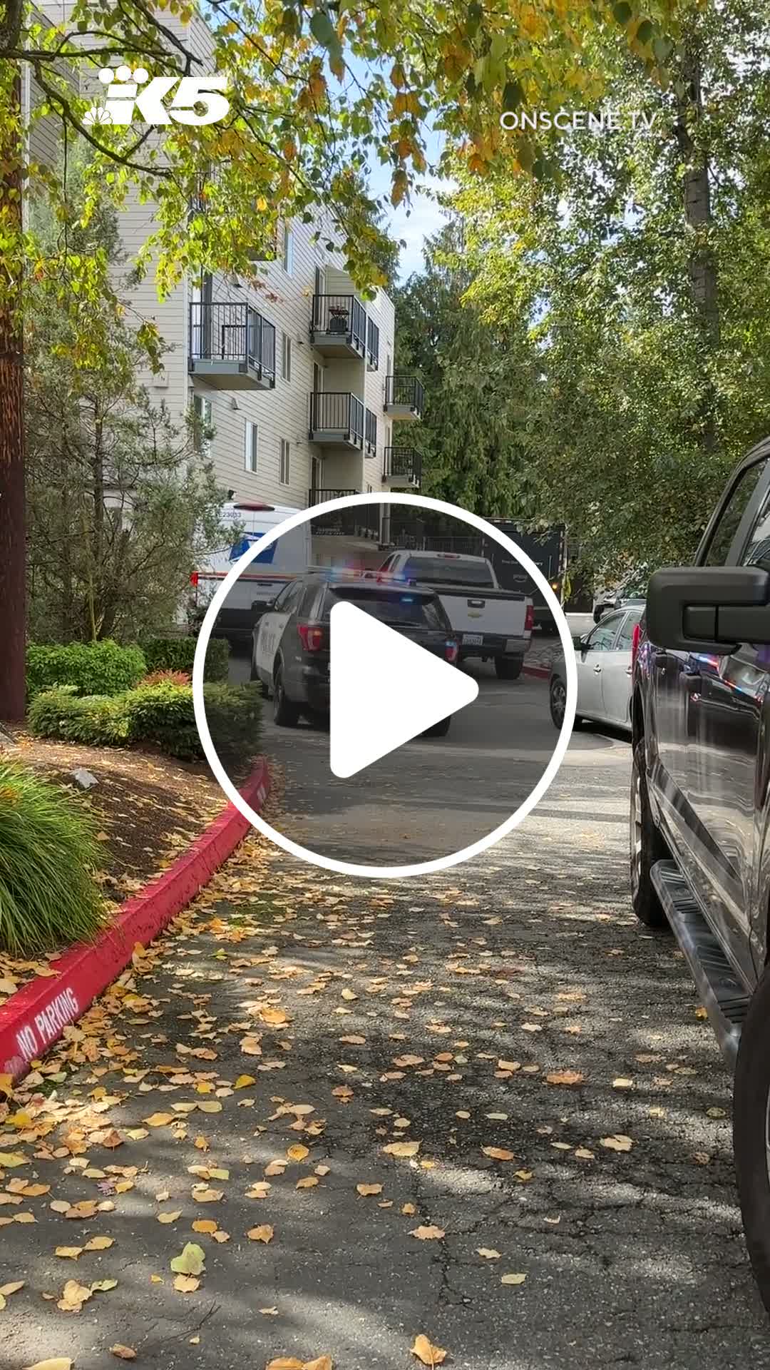 USPS worker shot by package delivery driver in Everett - NewsBreak