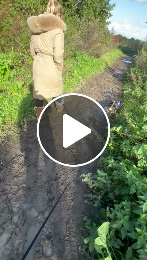 Woman's struggle to stay upright on slippery mud ends in a messy manner ...