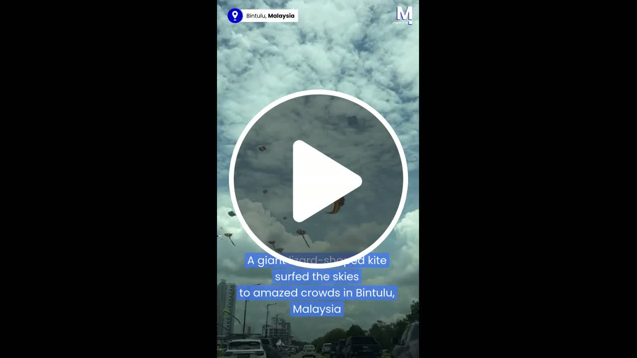Giant lizard kite steals the show in Malaysia - NewsBreak