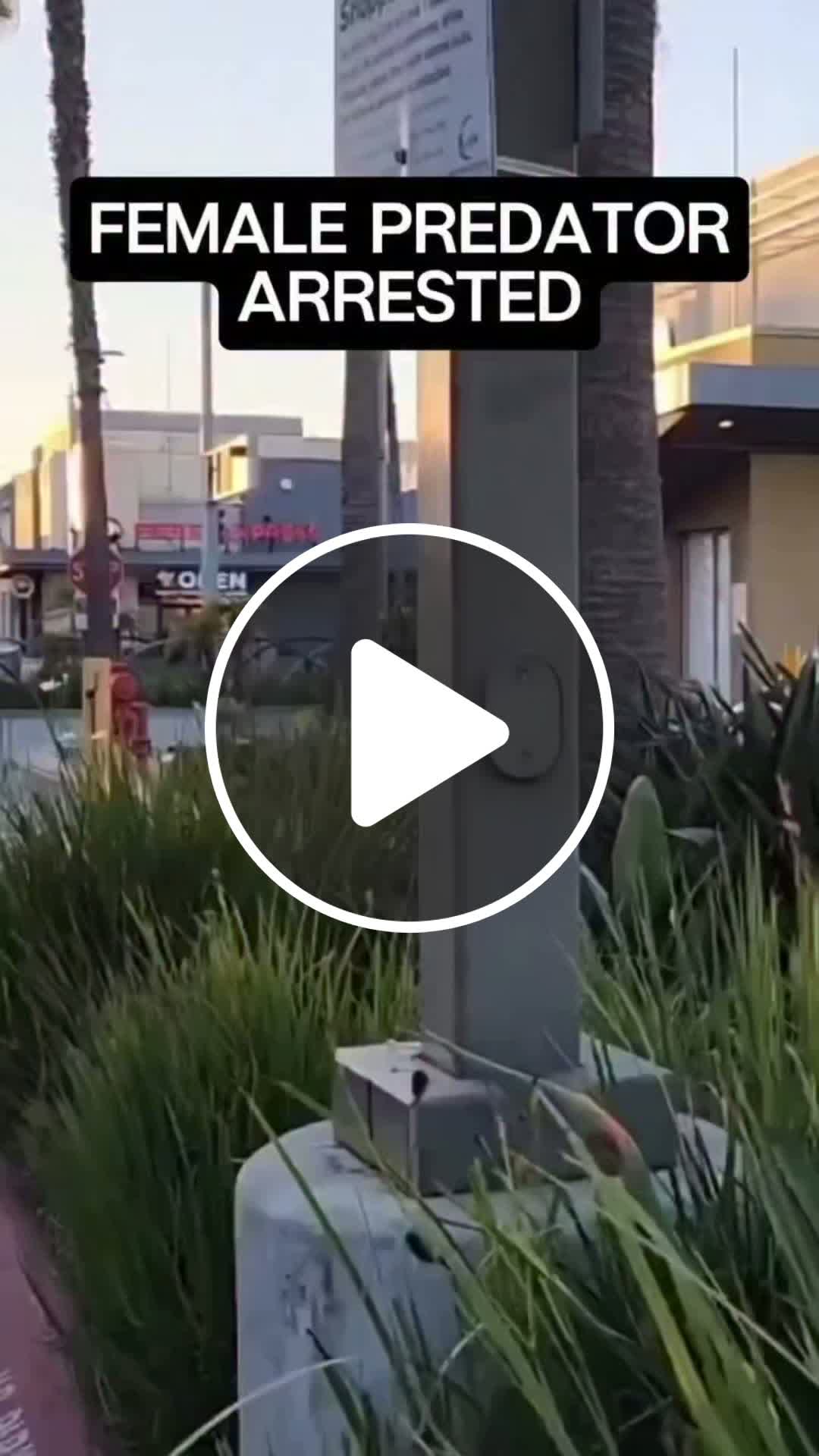 Have You Apologized?’ MSNBC’s Host Stops Karine Jean-Pierre Cold With ...