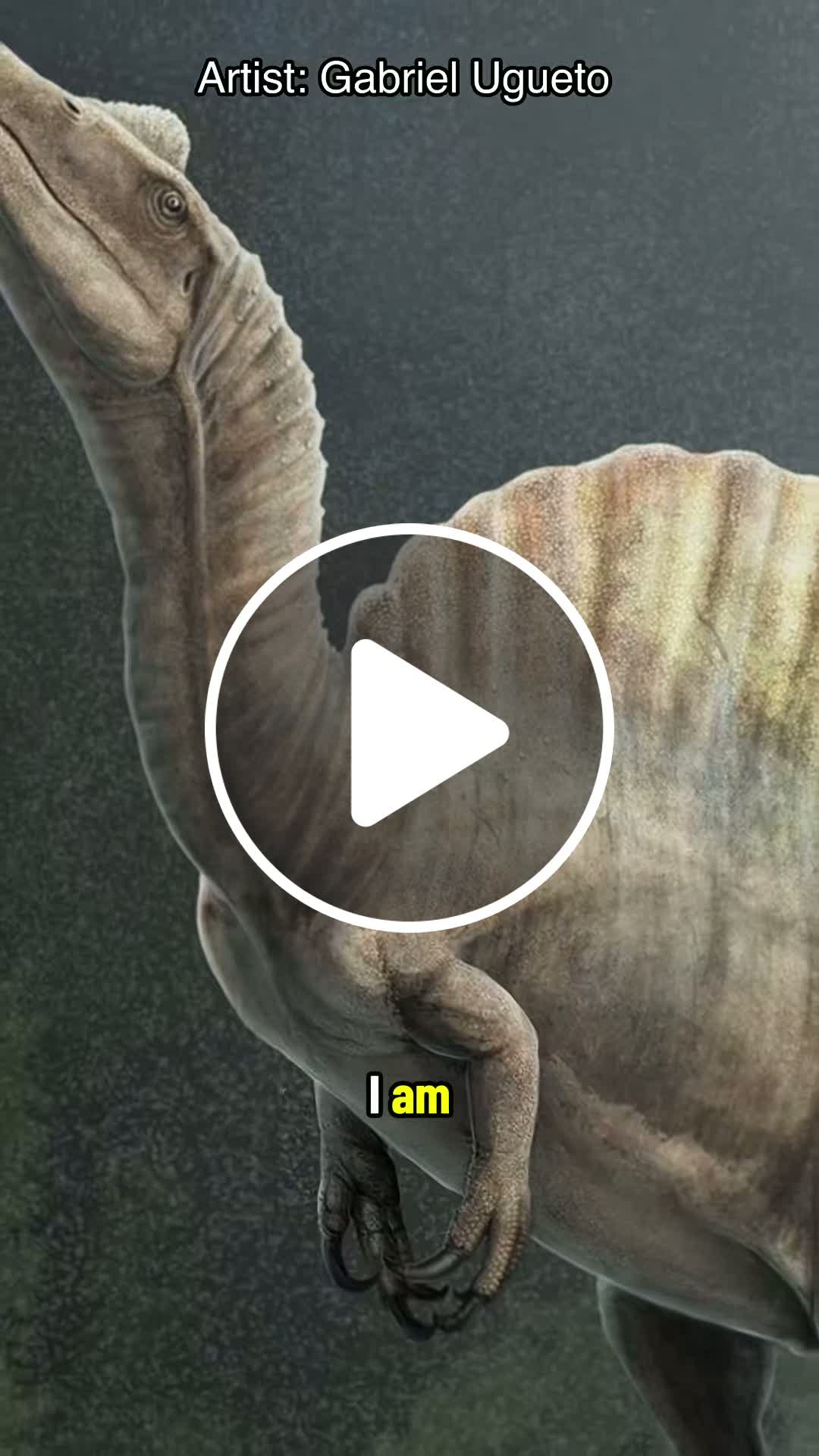 So much Spinosaurus! #dinotok #dinosaur #accuratedinosaurs #spinosaurus ...