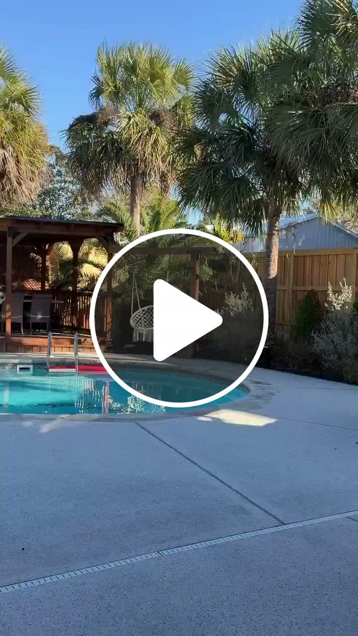 Unlimited entertainment for the cats but they can never reach the bird ...