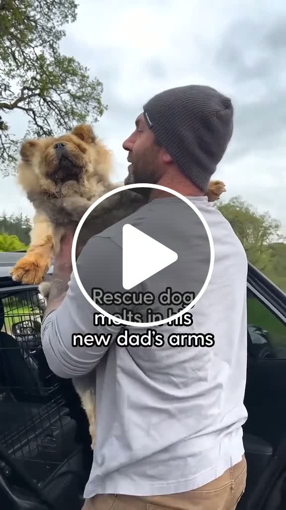 Rescuing Little Bear_ A Heartwarming Tale of Love and Transformation ...