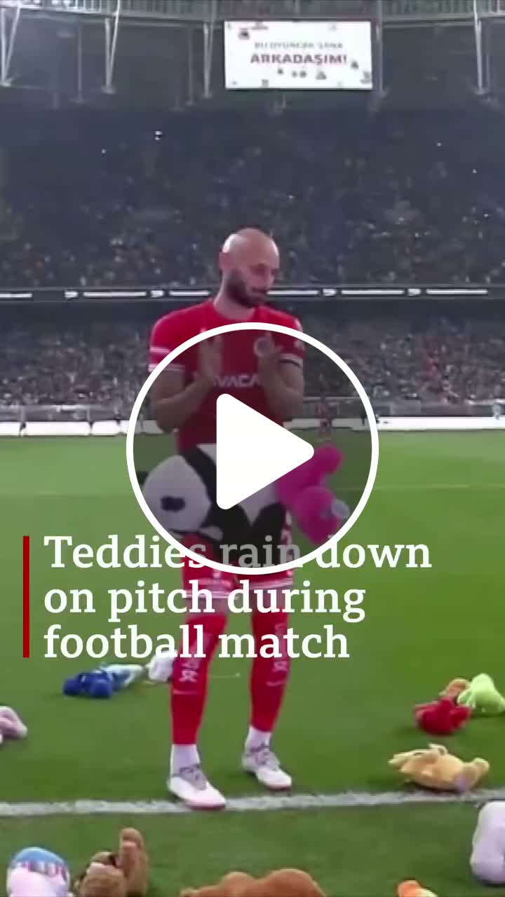 Teddies rain down on pitch during football match - NewsBreak