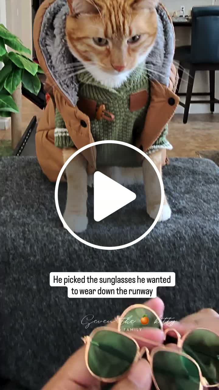 wait for my cat's reaction 😱😱😢🤔🤔 - NewsBreak