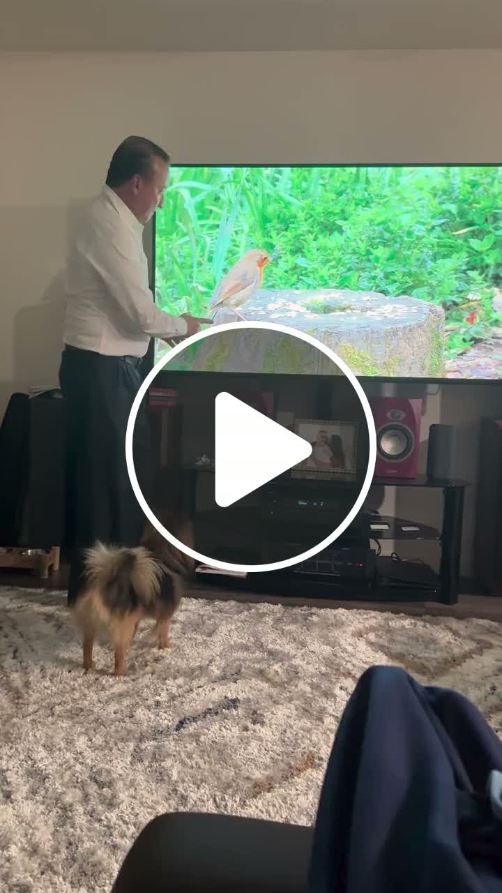 😄😄😄she was actually very eager to meet her new friend from the tv ...