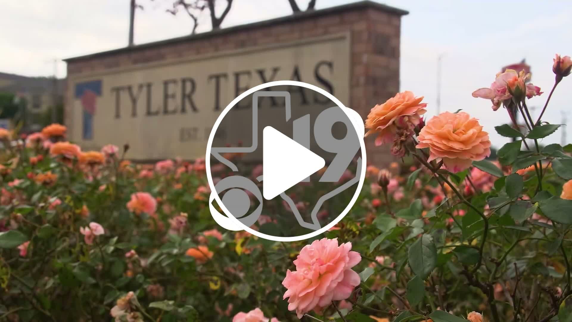 Smith County crews battle grass fire that threatened structures on ...