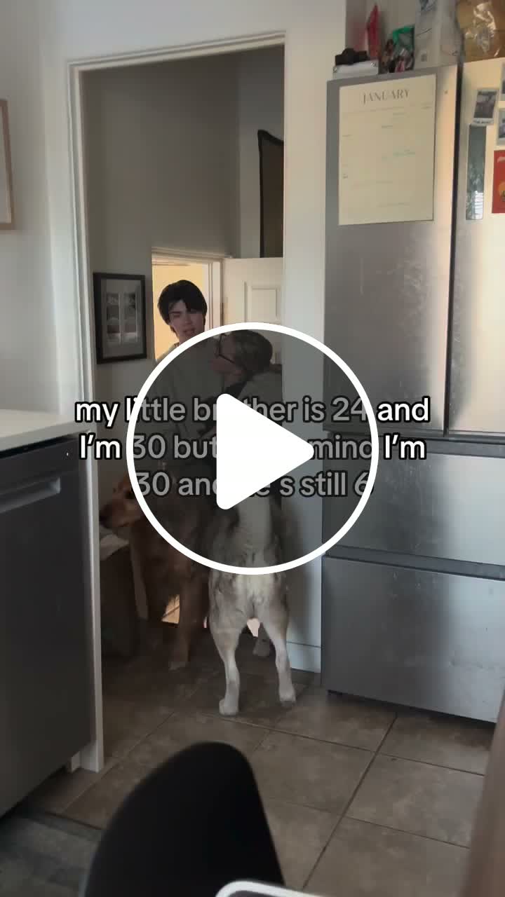 ‘We cannot believe this man has the nuclear codes’: Newsom team slams ...