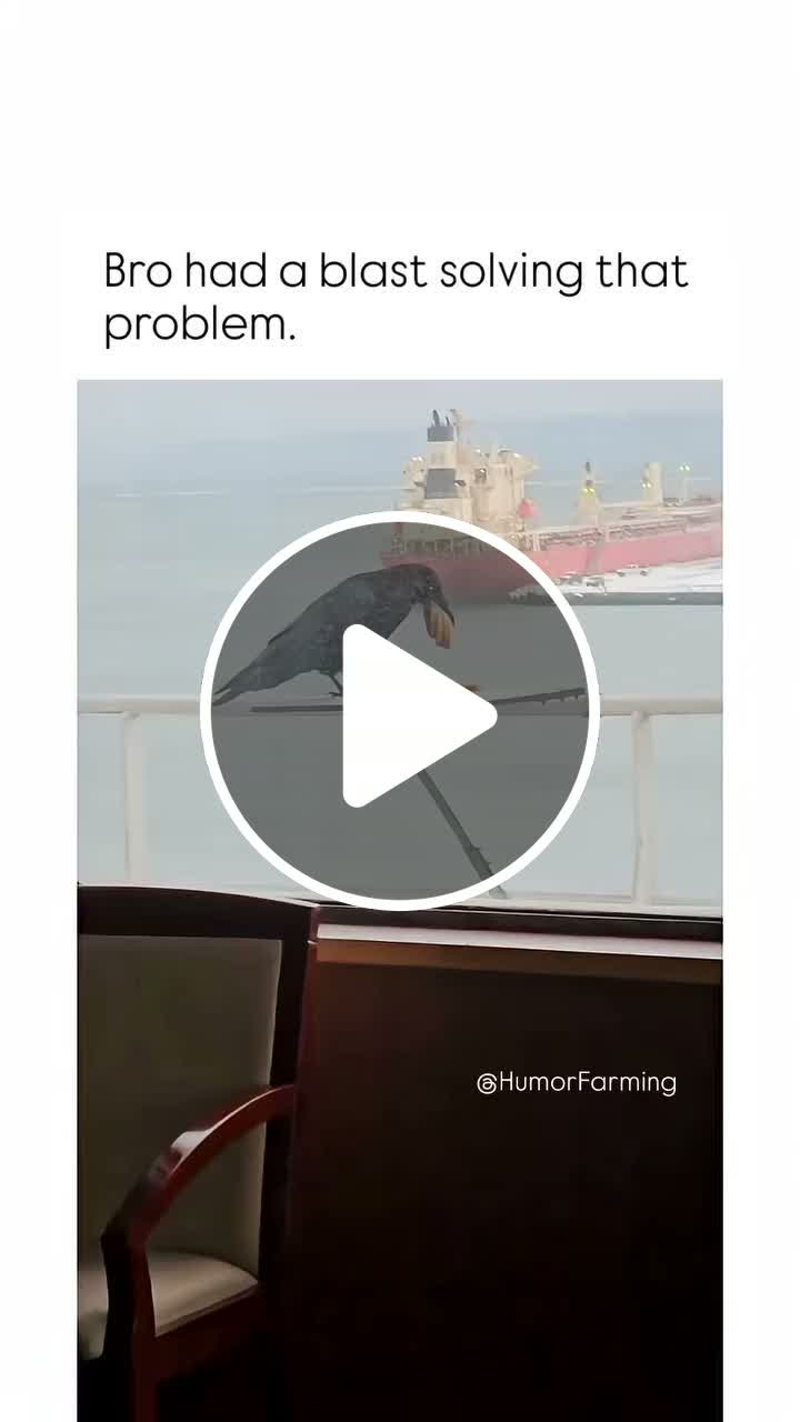 #UnpopularOpinion He really doesn t want to make a second trip Crows ...
