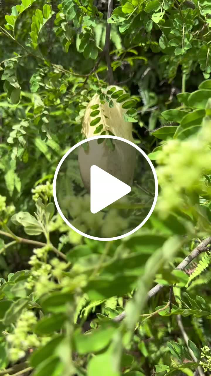 You Are Hereby Removed,” Trump Posts on Truth Social — Supreme Court ...