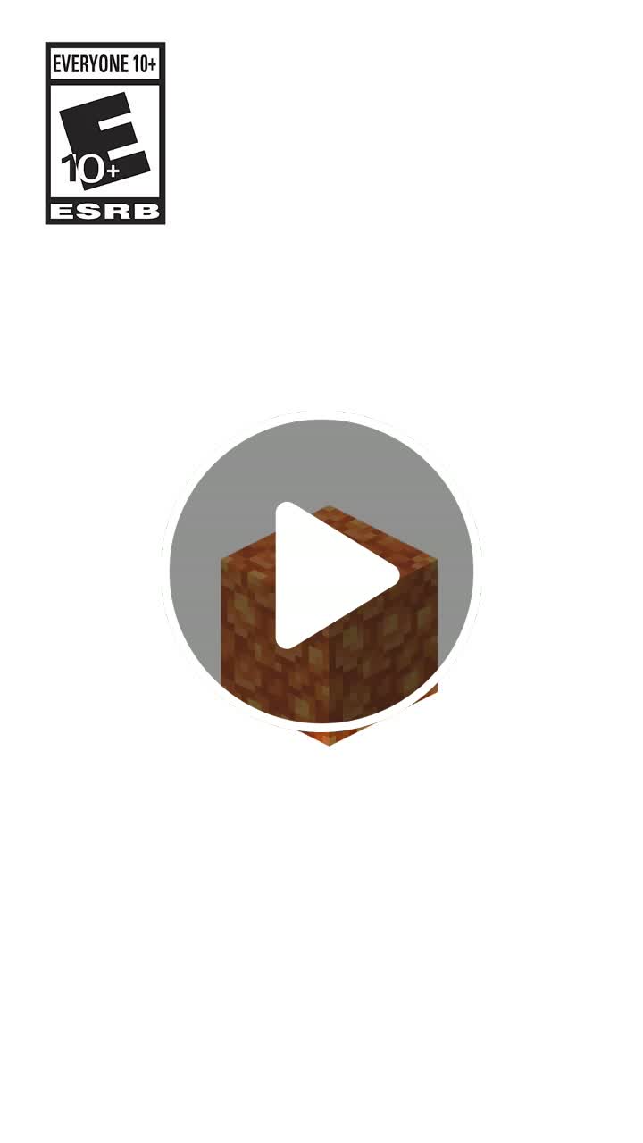 oh you like blocks? then name every block in Minecraft rn #minecraft # ...