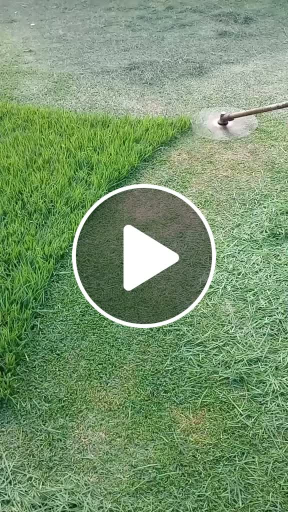 Smell of freshly cut grass - NewsBreak