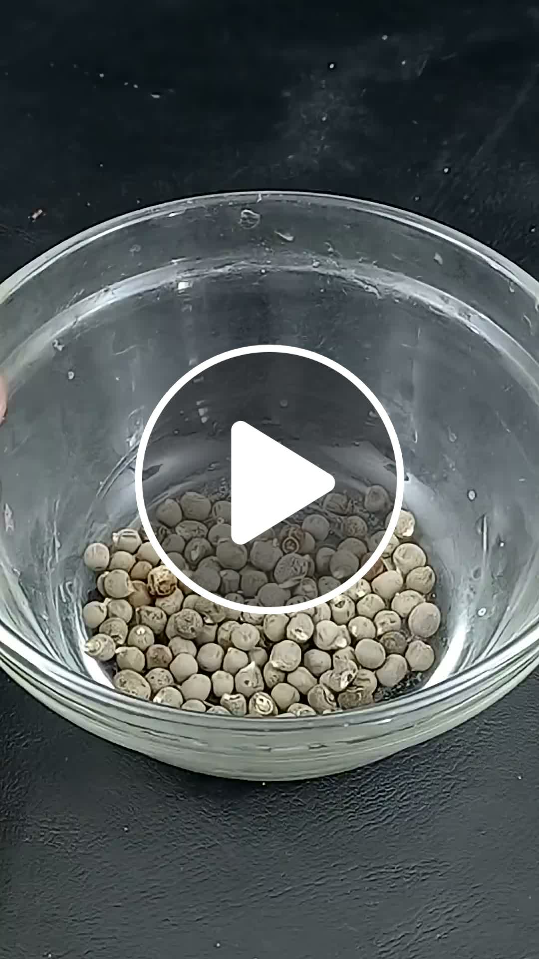 Easy way to grow lady finger plant at home from seed Best method for ...