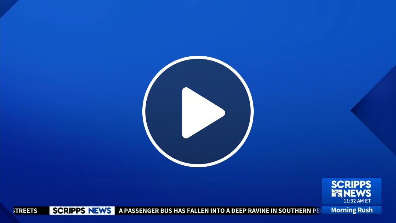 Leonardo DiCaprio pays tribute to Jane Goodall - NewsBreak