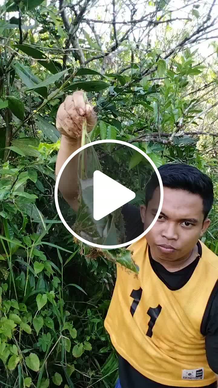 A lesson learned hard way😂 - NewsBreak