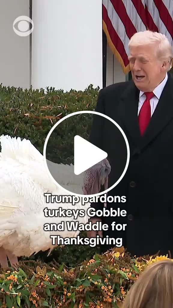 President Donald Trump on Tuesday pardoned two Thanksgiving turkeys ...
