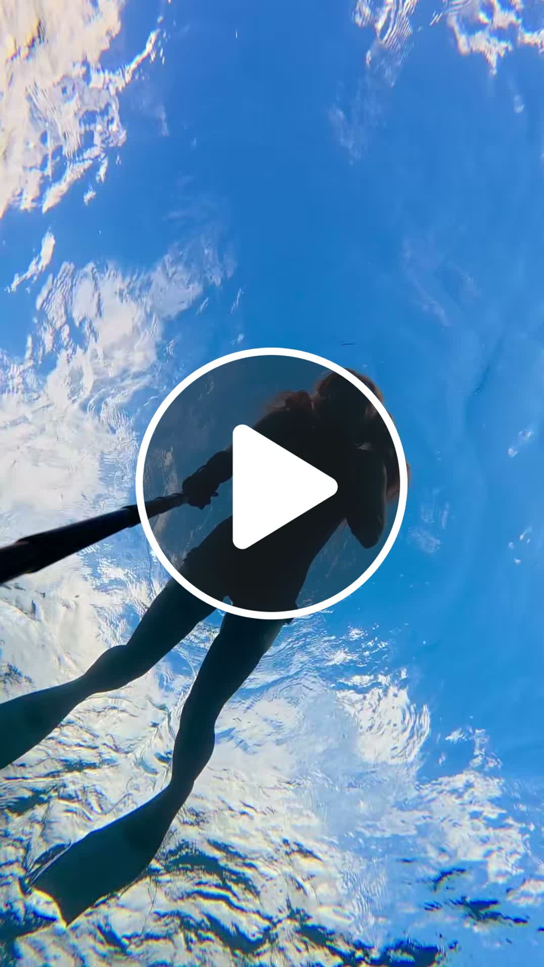 Current was ripping a lil hard 😝 #rip #current #ocean #freediver # ...