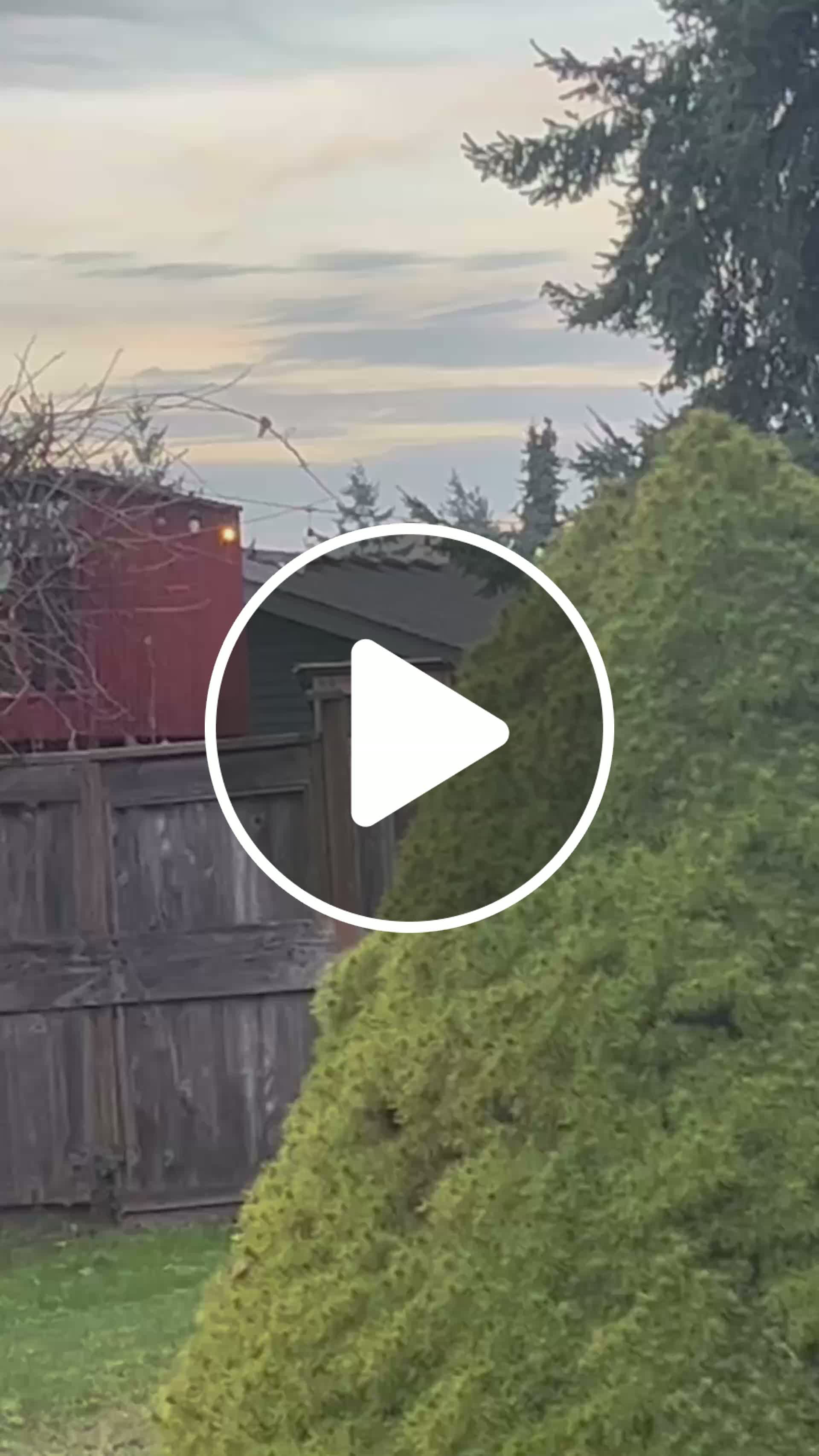 Ex-executive at Weyerhaueser and wife found dead, son in custody ...