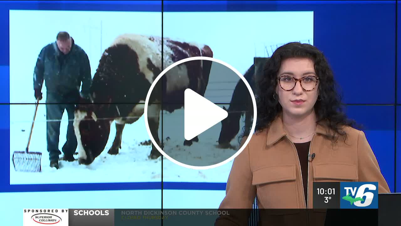 Extreme cold puts UP farm animals at risk of freezing - NewsBreak