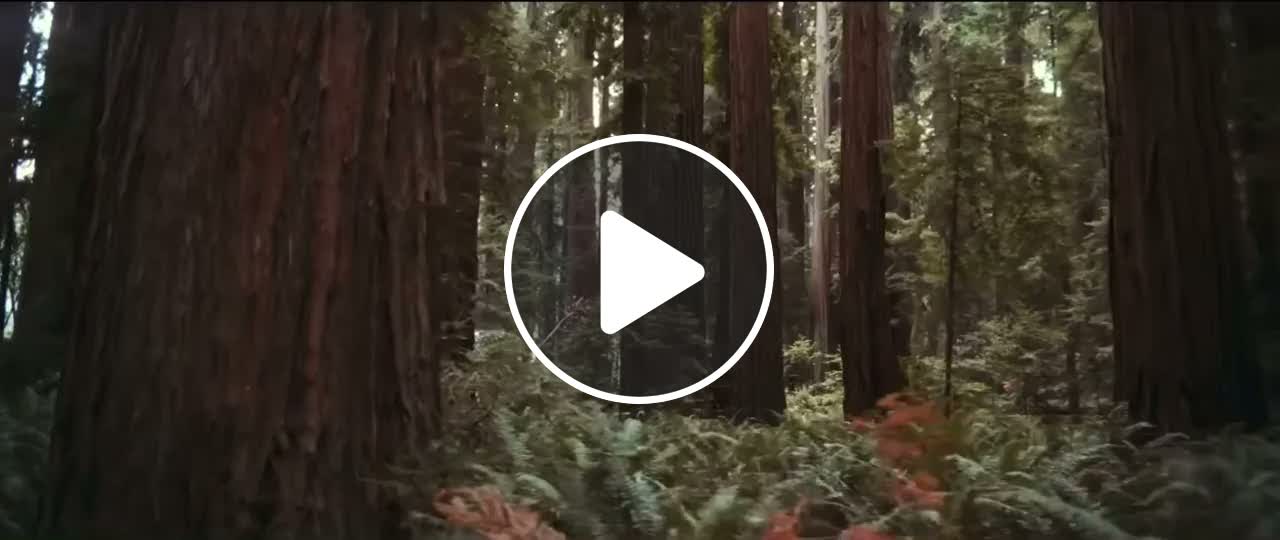 reliving the epic speeder bike chase from Star Wars—purely visual and ...