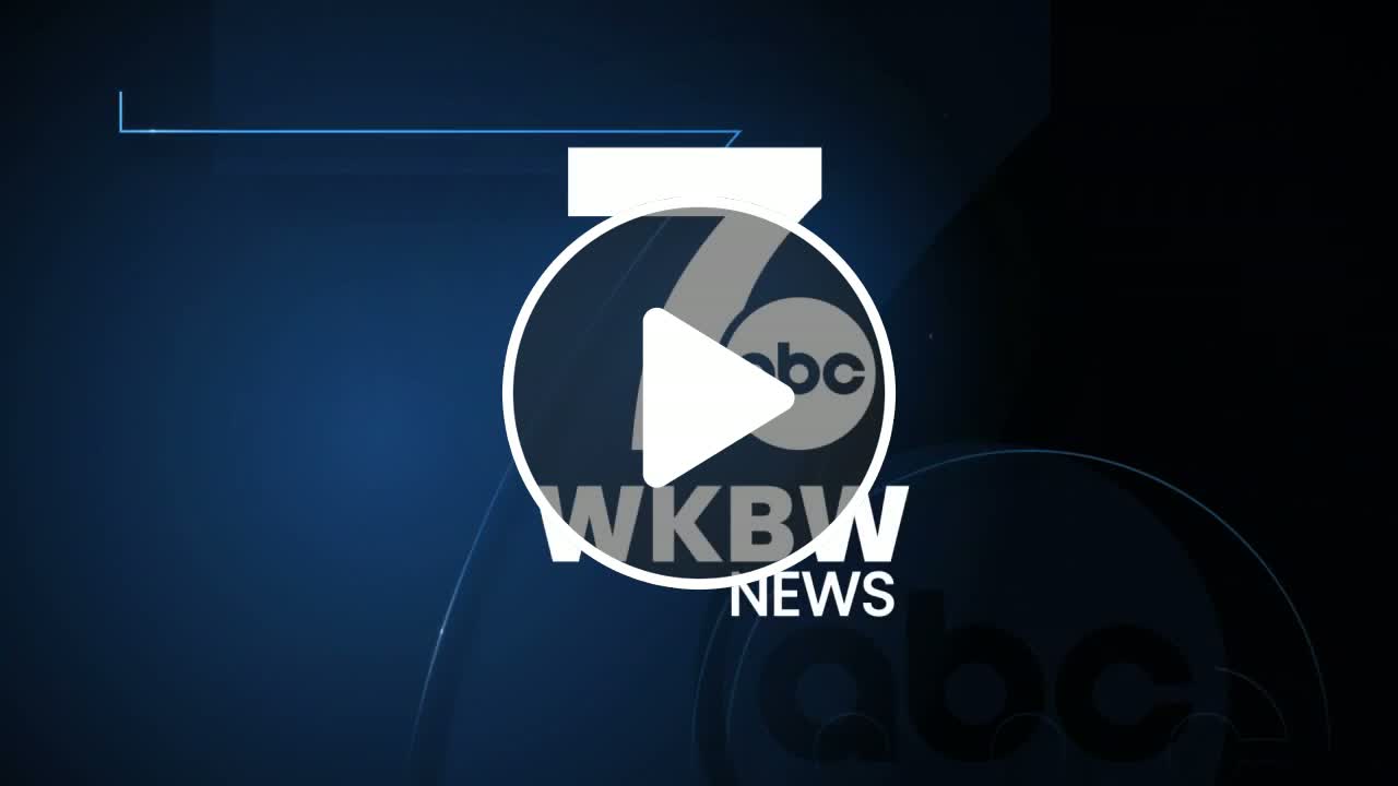 OLV Human Services places 3 employees on leave after allegations of ...